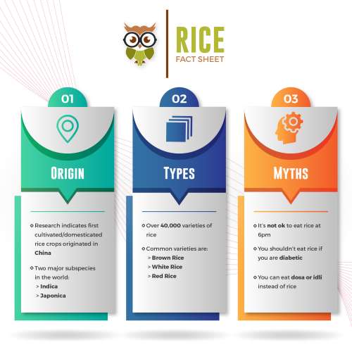 Basics of Rice – Optimal Nutrition Protocol